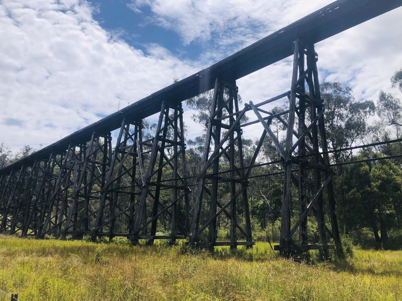 Noojee Trestle Bridge Rail Trail Walk (3km) - Gippsland, VIC